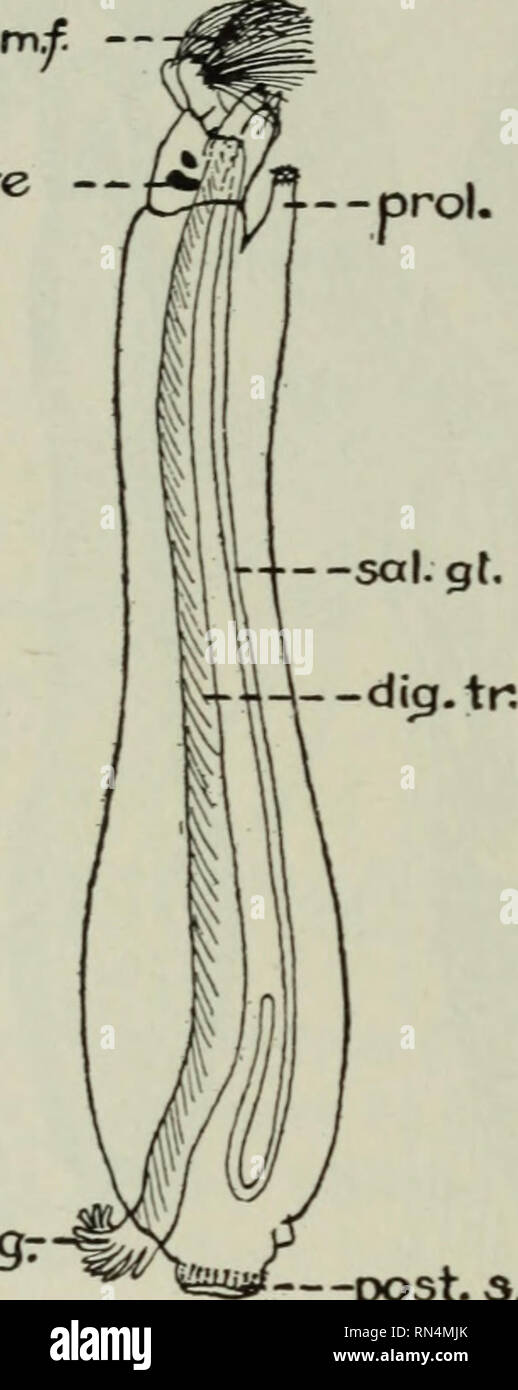 Har bal torrent - frenzyaceto