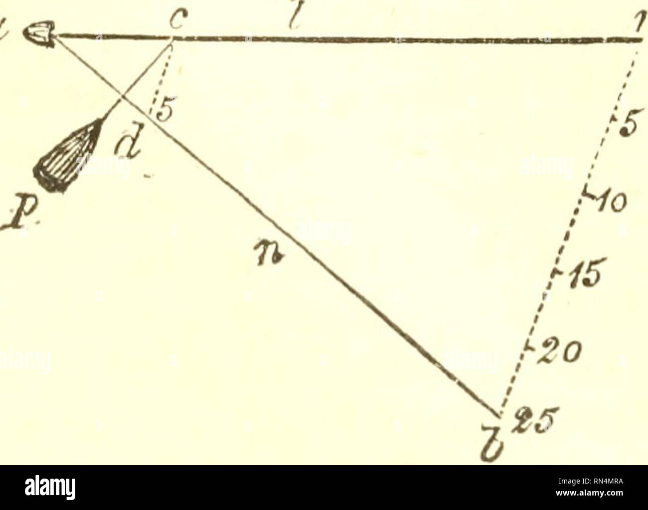 . Animal physiology. Physiology, Comparative. 462 LEVERAGE OF BONES. of ...