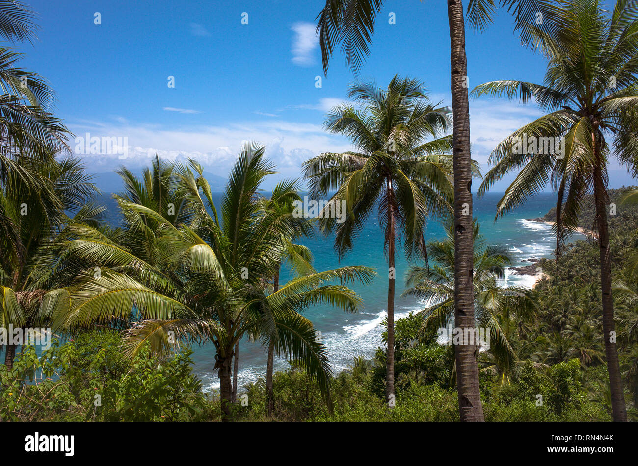 Palm Trees & View of Rugged Jungle Beach - Palawan, Philippines Stock ...