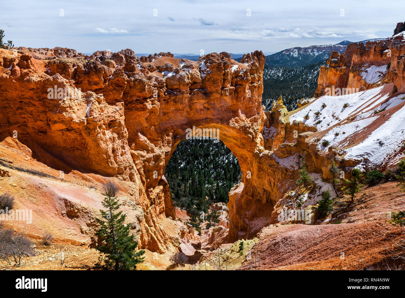 Natural Stone Bridge In Bryce Canyon National Park In Utah, USA Stock ...