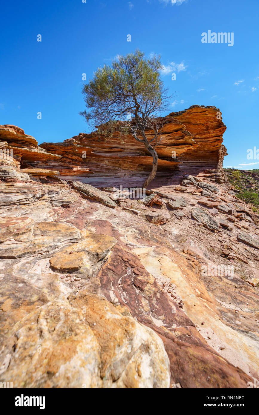 Hiking the canyon. natures window loop trail, kalbarri national park ...
