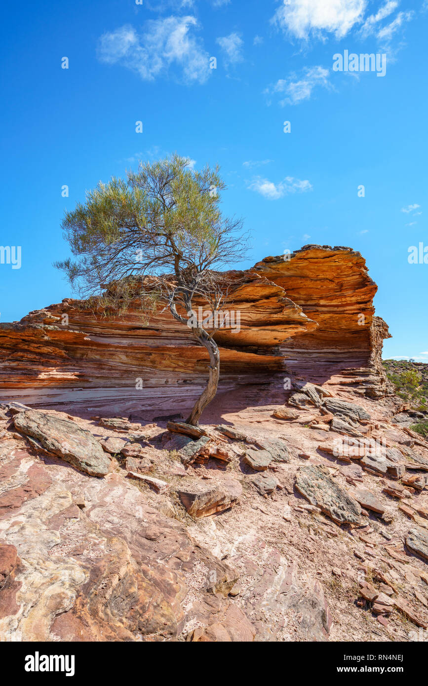 Hiking the canyon. natures window loop trail, kalbarri national park ...