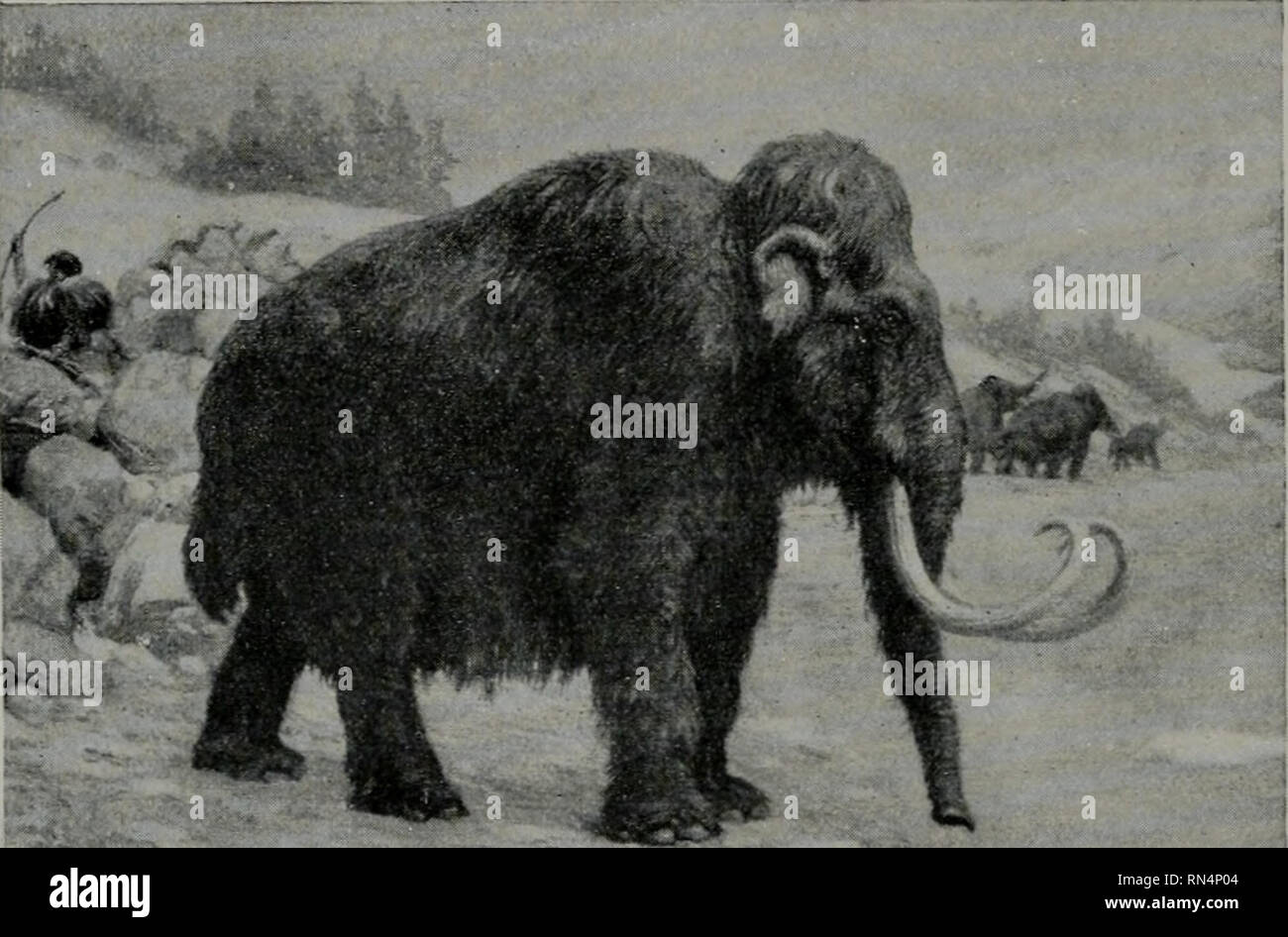 Charles r knight mammoth hi-res stock photography and images - Alamy