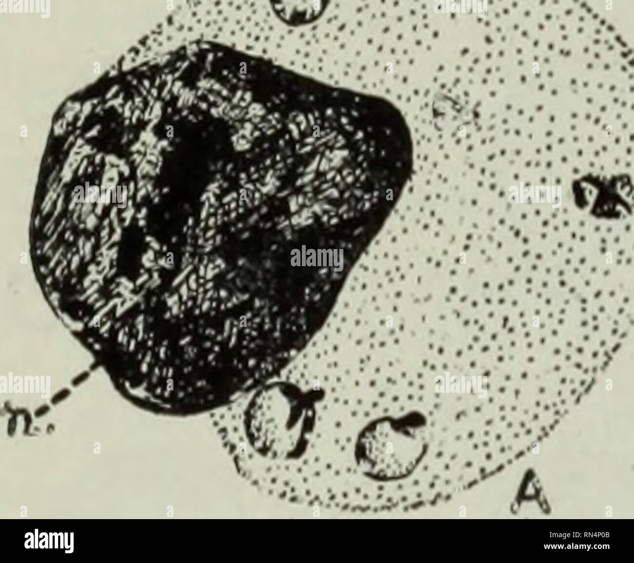 Dark nuclei hi-res stock photography and images - Alamy
