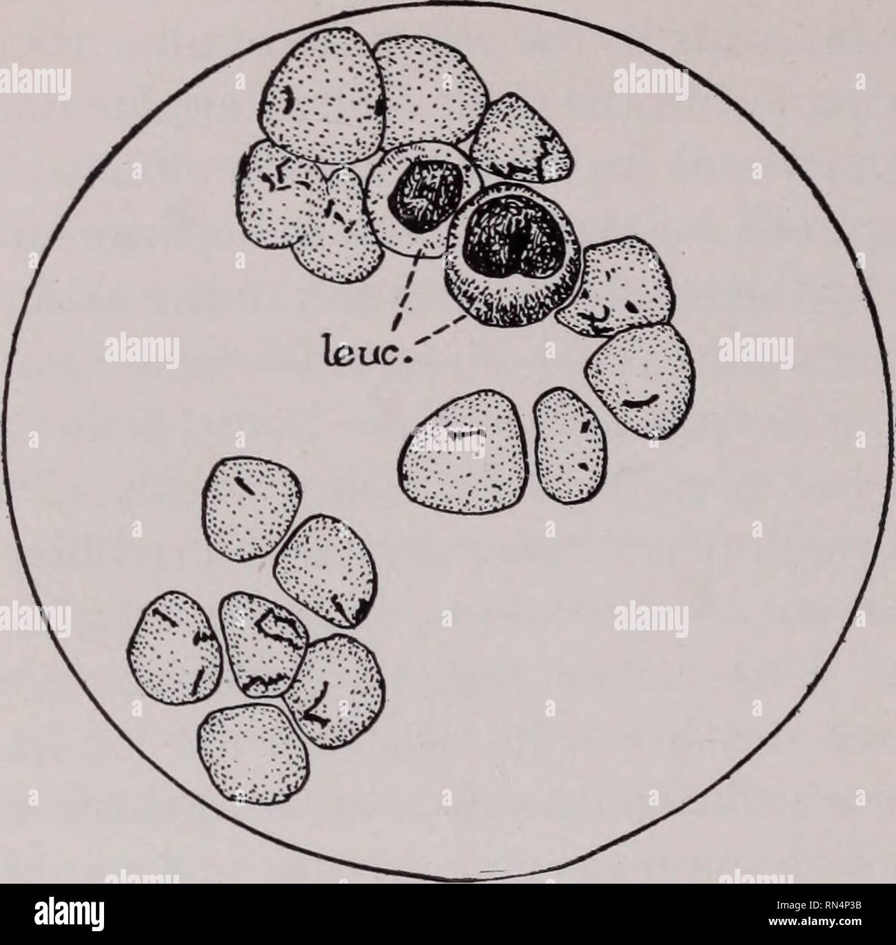 Dark nuclei hi-res stock photography and images - Alamy