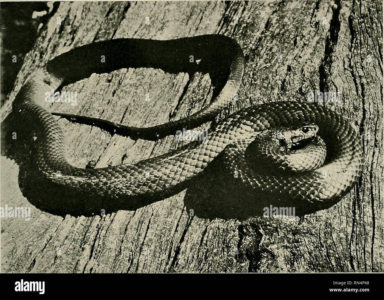 Only sweat thing hi-res stock photography and images - Alamy