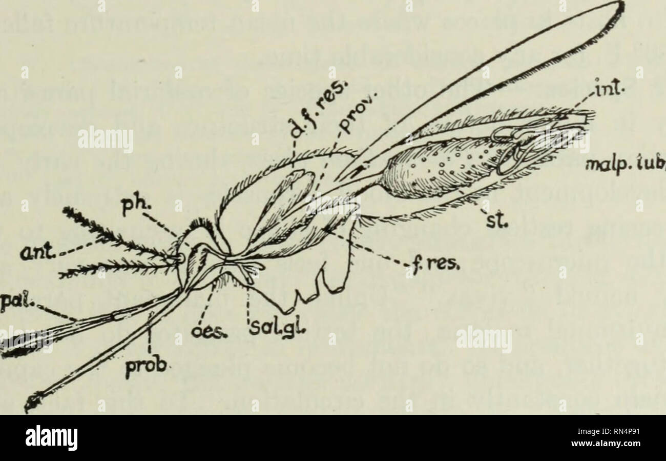 Gl 46 hi-res stock photography and images - Alamy