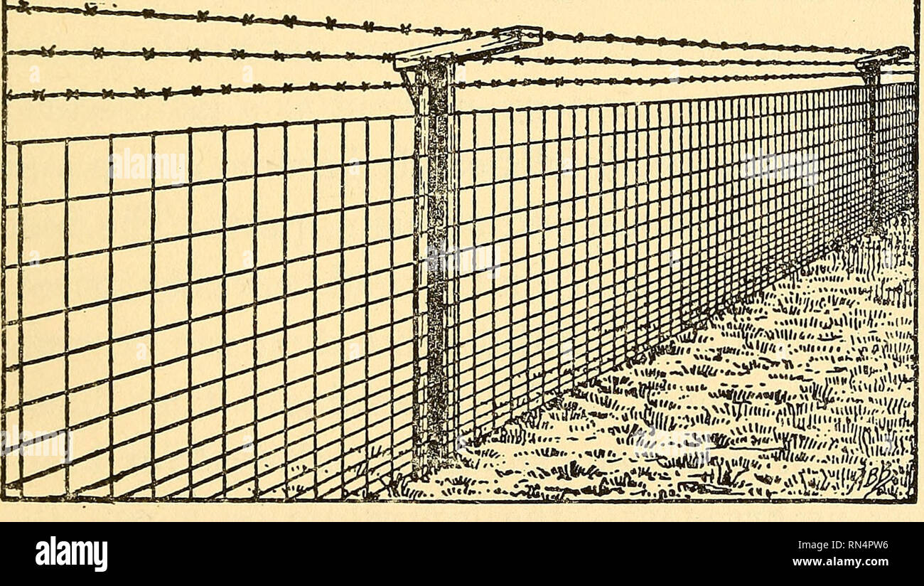 Old mink farm hi-res stock photography and images - Alamy