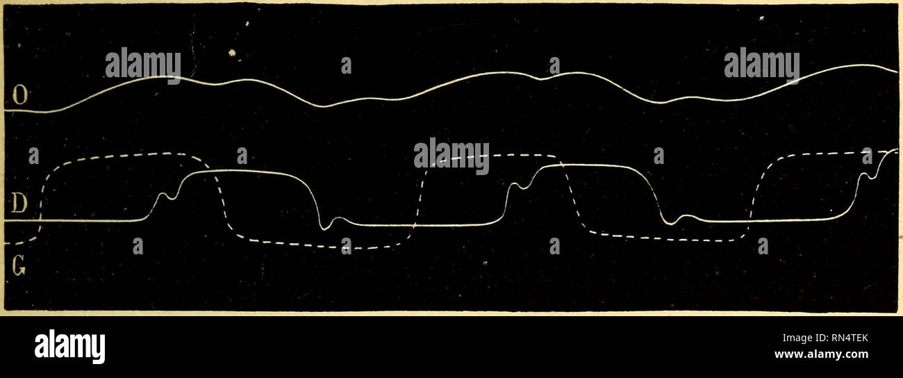 . Animal mechanism: a treatise on terrestrial and aërial locomotion ...