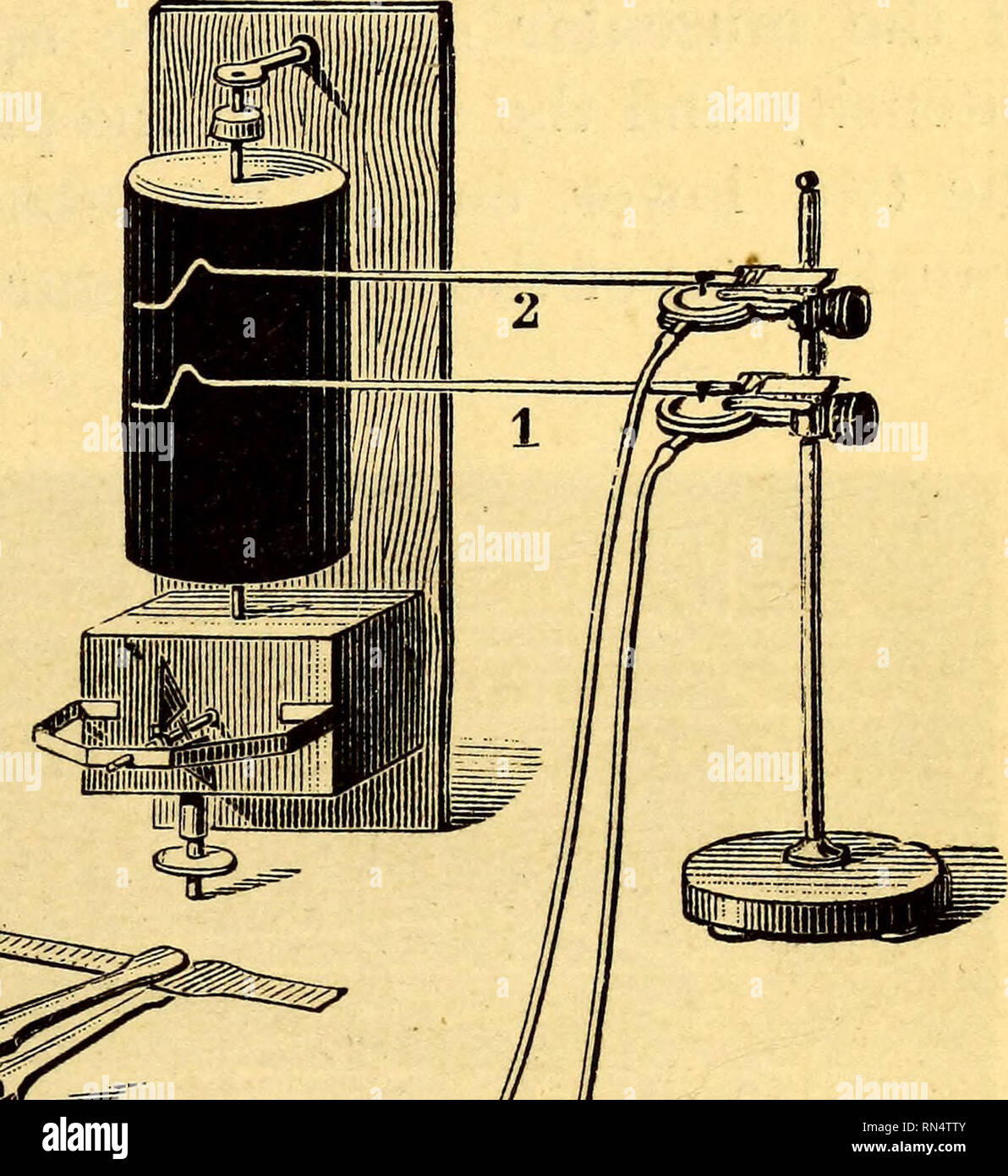 . Animal mechanism: a treatise on terrestrial and aërial locomotion ...