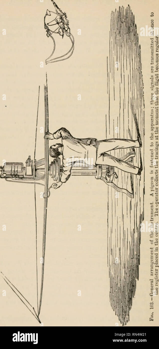 Aerial locomotion hi-res stock photography and images - Alamy
