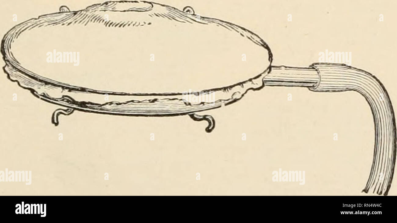 Terrestrial Movements High Resolution Stock Photography and Images - Alamy