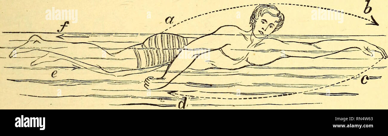 Leg ellipse hi-res stock photography and images - Alamy