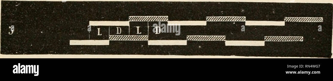 Terrestrial movements hi-res stock photography and images - Alamy