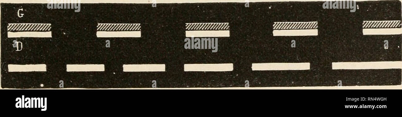 . Animal mechanism: a treatise on terrestrial and aerial locomotion ...