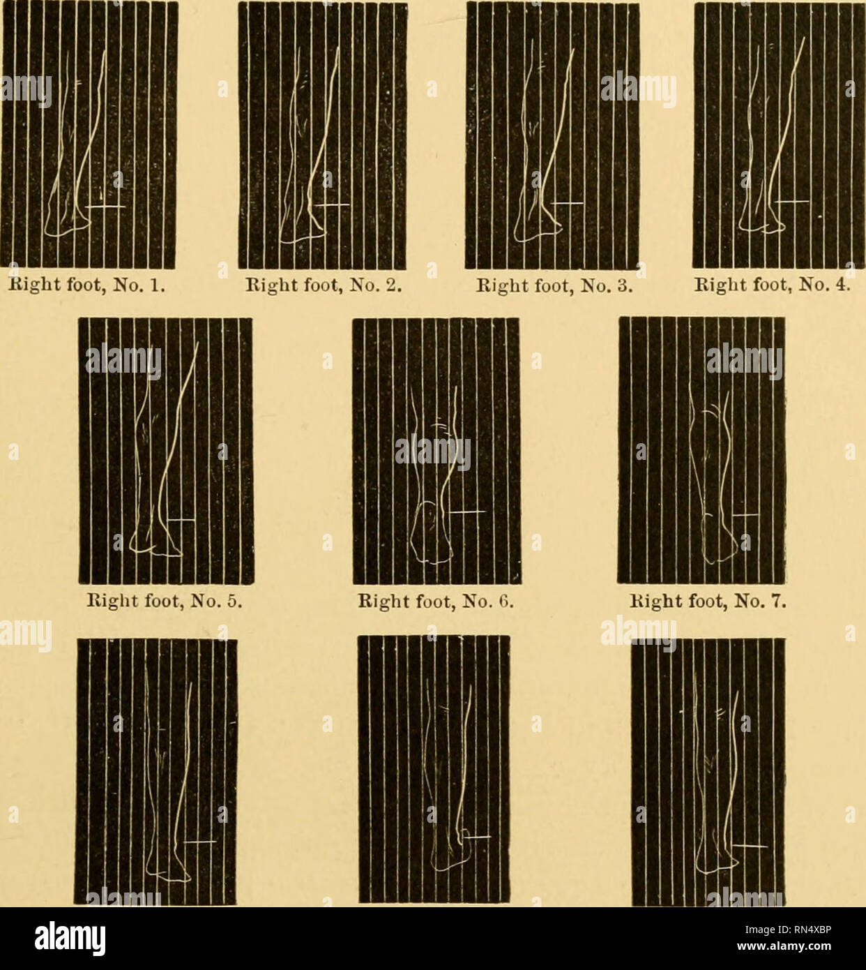 Rotation scales hi-res stock photography and images - Alamy
