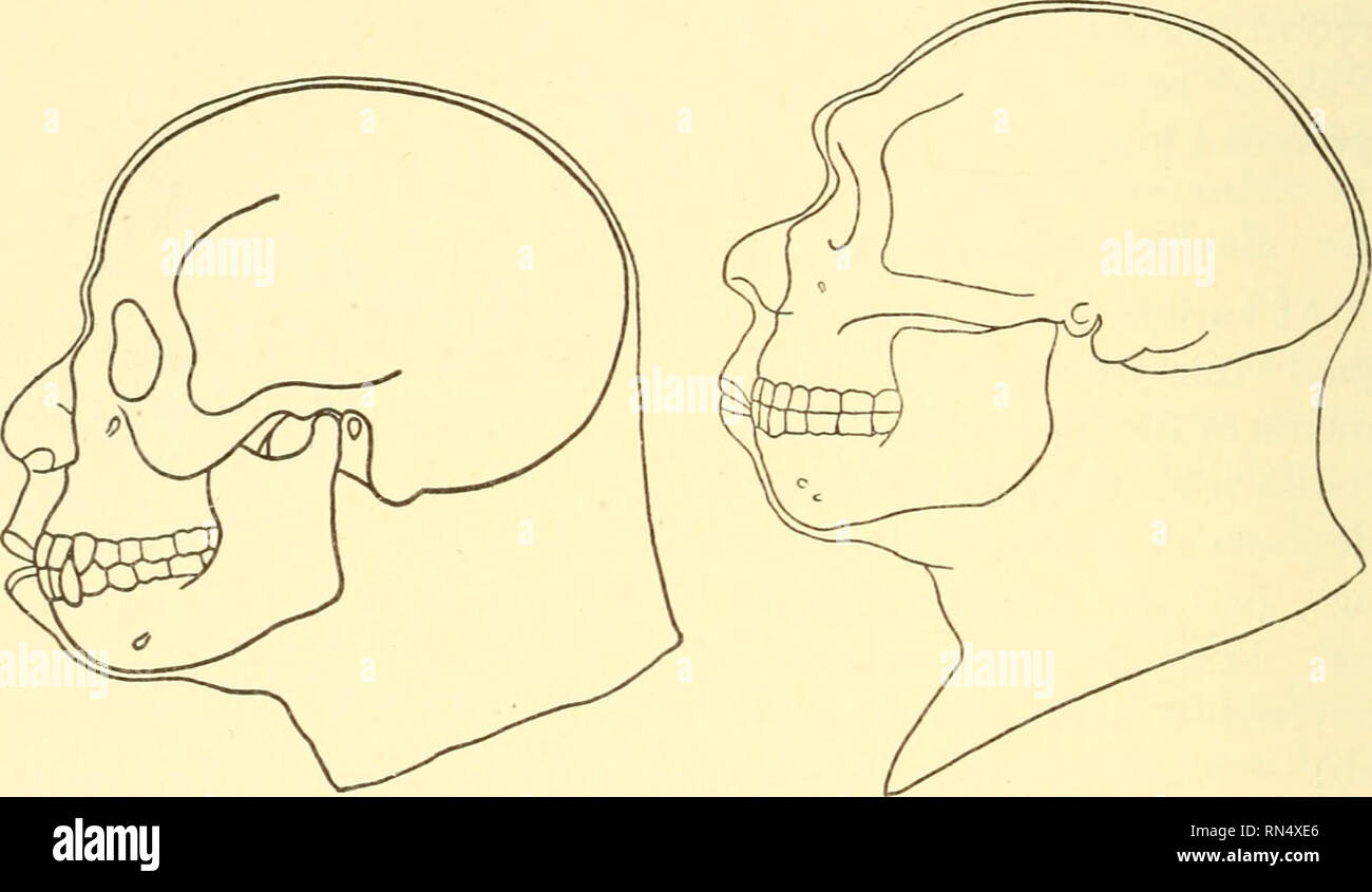 . Animal biology. Biology; Zoology; Physiology. 434 ANIMAL BIOLOGY ...