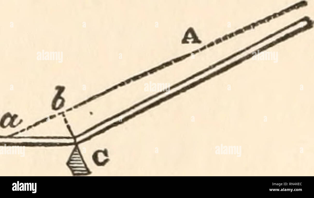. Animal mechanics. Animal mechanics. 78 ANIMAL MECHANICS Here A ...