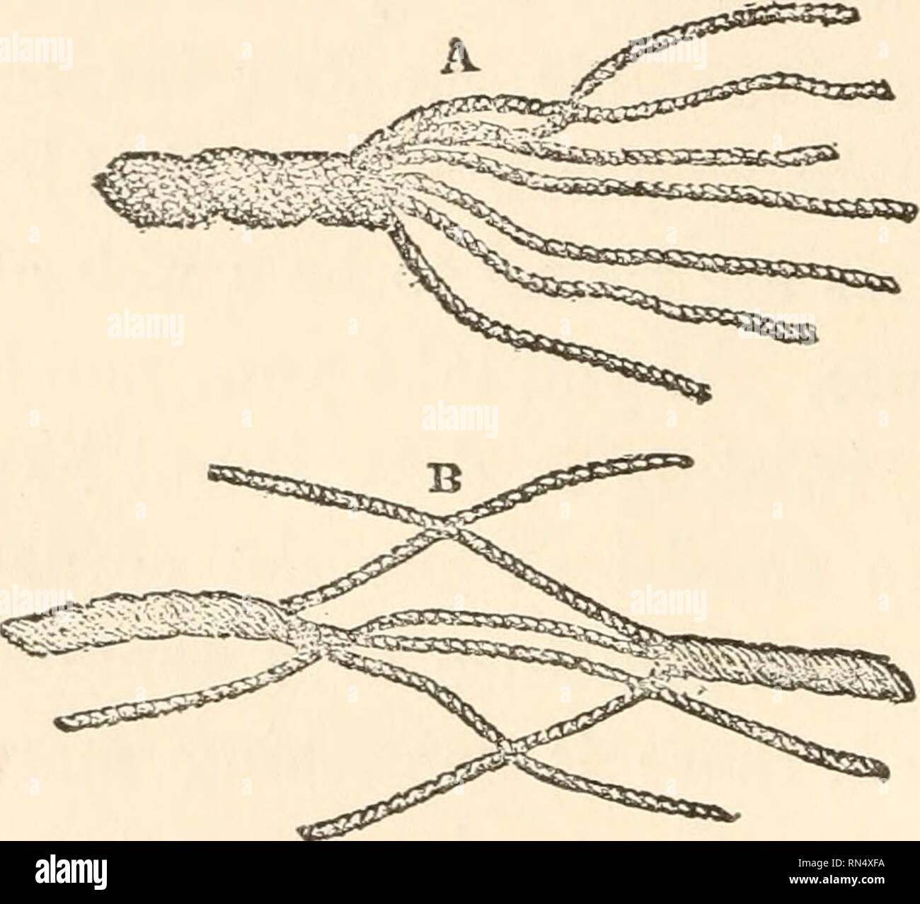 Splicing a rope hi-res stock photography and images - Alamy