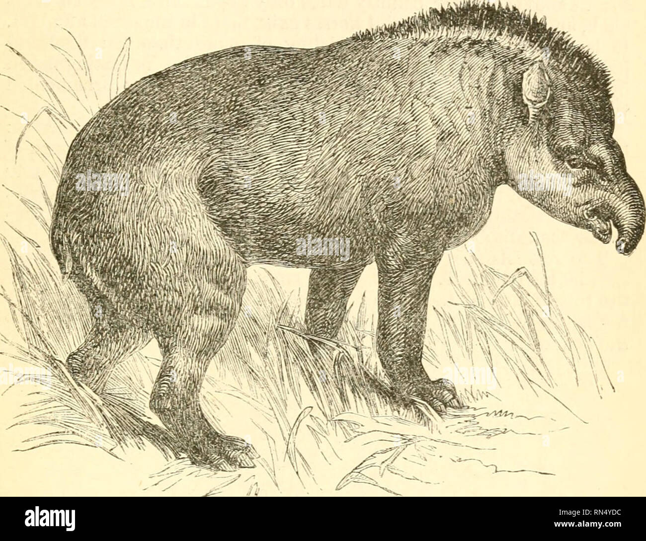 Non moveable hi-res stock photography and images - Alamy