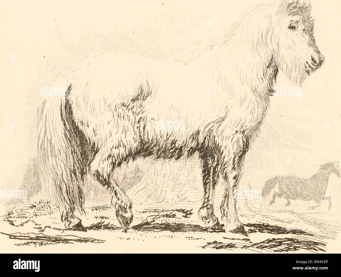 Robert edward baron hi-res stock photography and images - Alamy