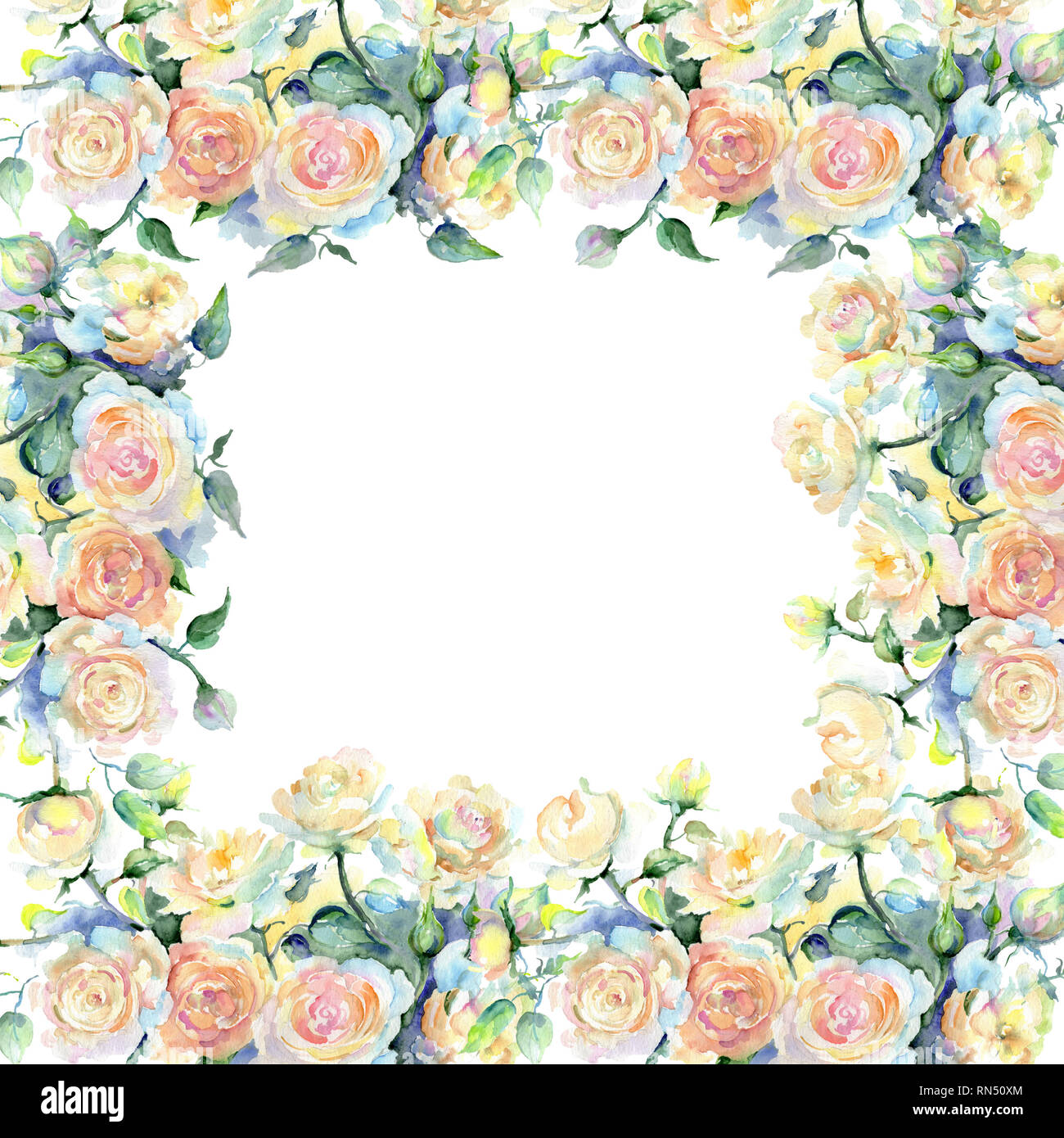 Beige rose bouquet floral botanical flower. Watercolor background ...