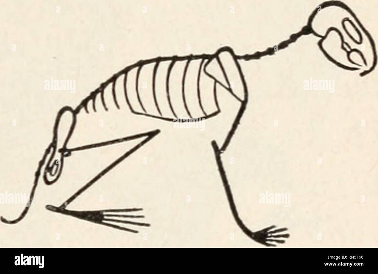 Split upper lip hi-res stock photography and images - Alamy