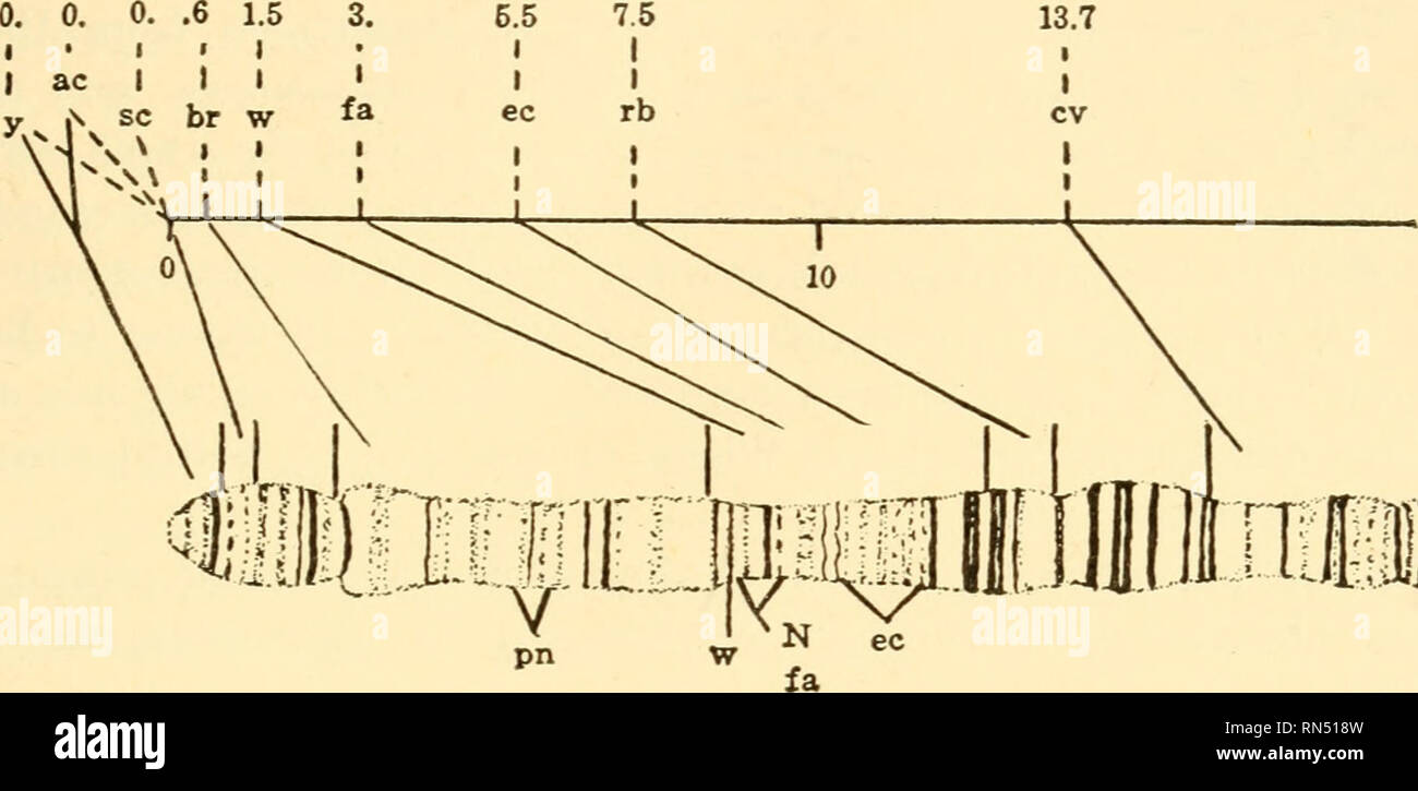 . Animal biology. Biology; Zoology; Physiology. INHERITANCE 309 ...