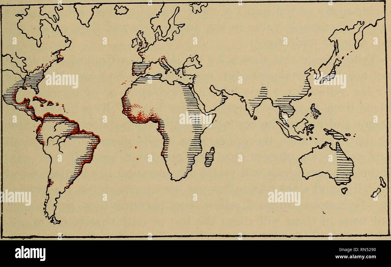 Animal distribution map hi-res stock photography and images - Alamy