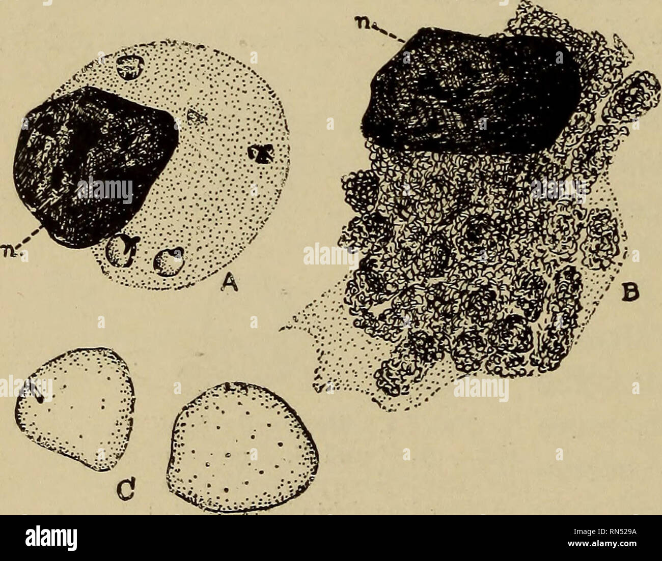 Dark nuclei hi-res stock photography and images - Alamy