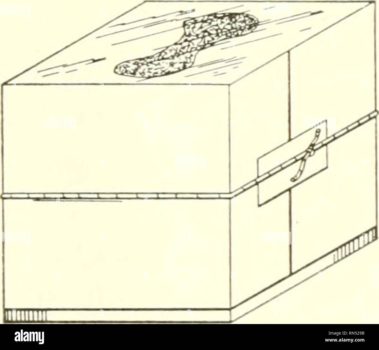 . Animal tissue techniques. Histology -- Technique; Stains and staining ...