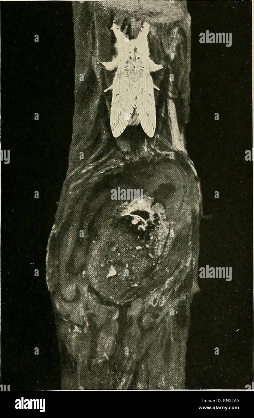 97 round magazine hi-res stock photography and images - Alamy