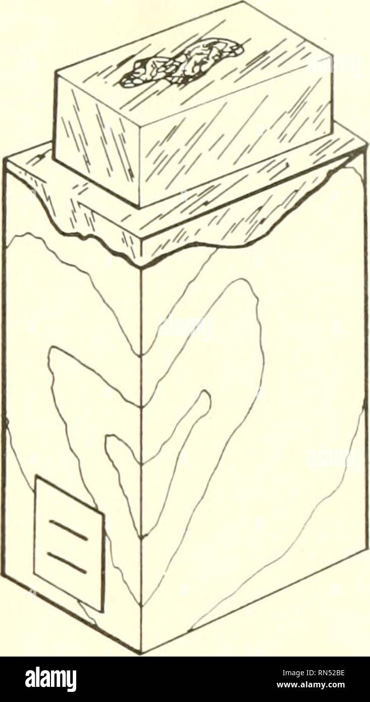 . Animal tissue techniques. Histology -- Technique; Stains and staining ...