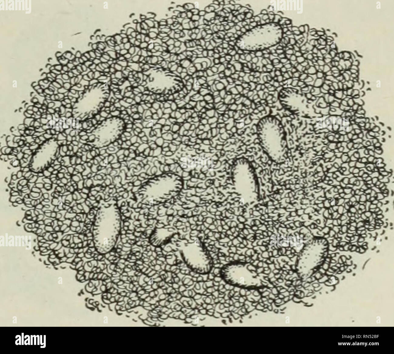 Blood spitting hi-res stock photography and images - Alamy