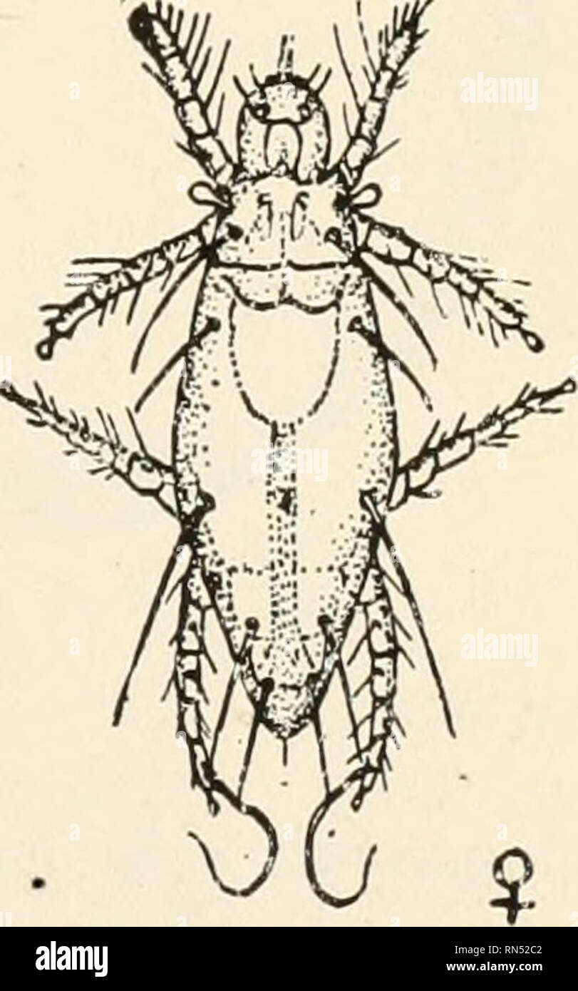 . Animal parasites and human disease. Insects as carriers of disease ...