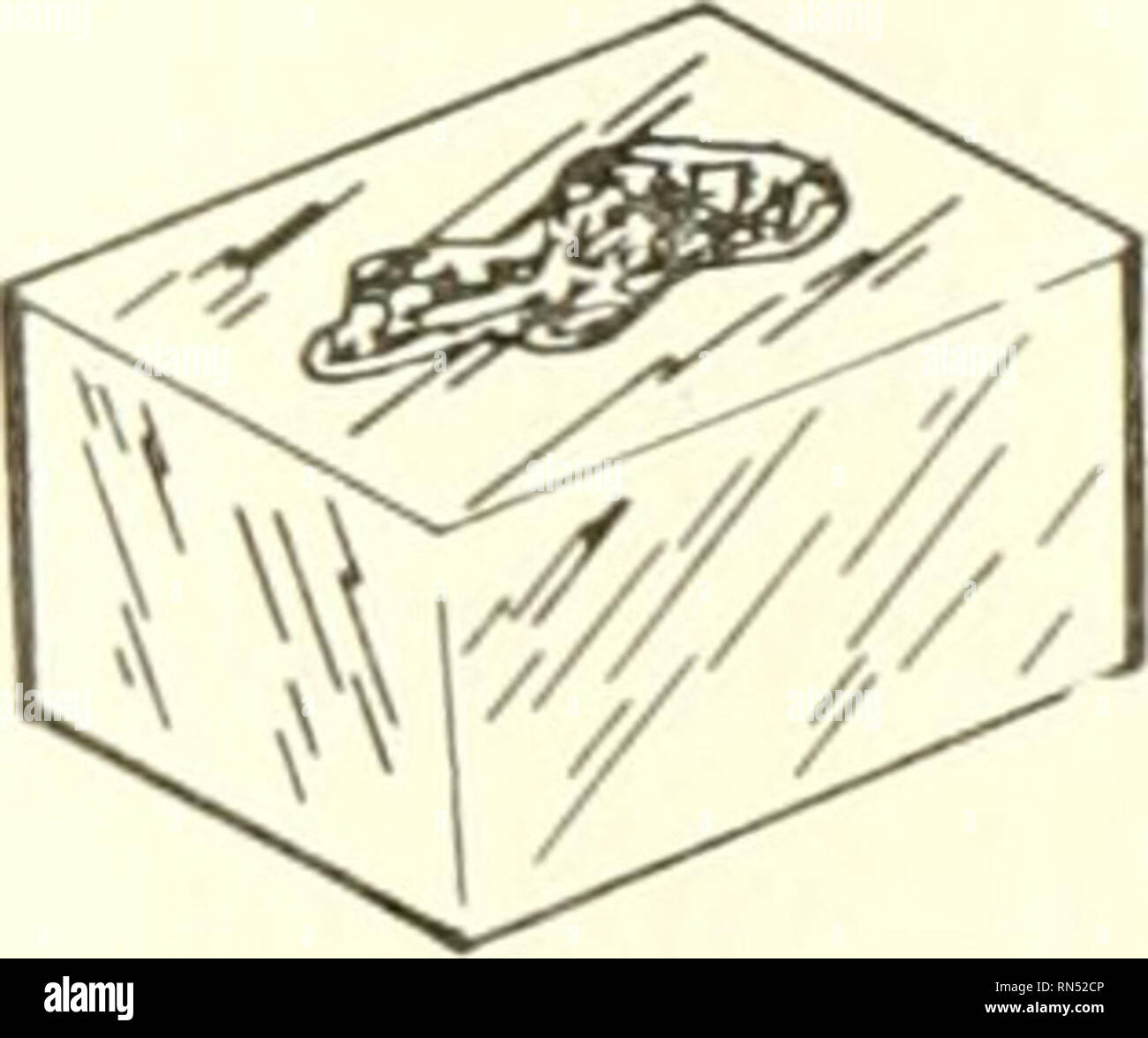 . Animal tissue techniques. Histology -- Technique; Stains and staining ...