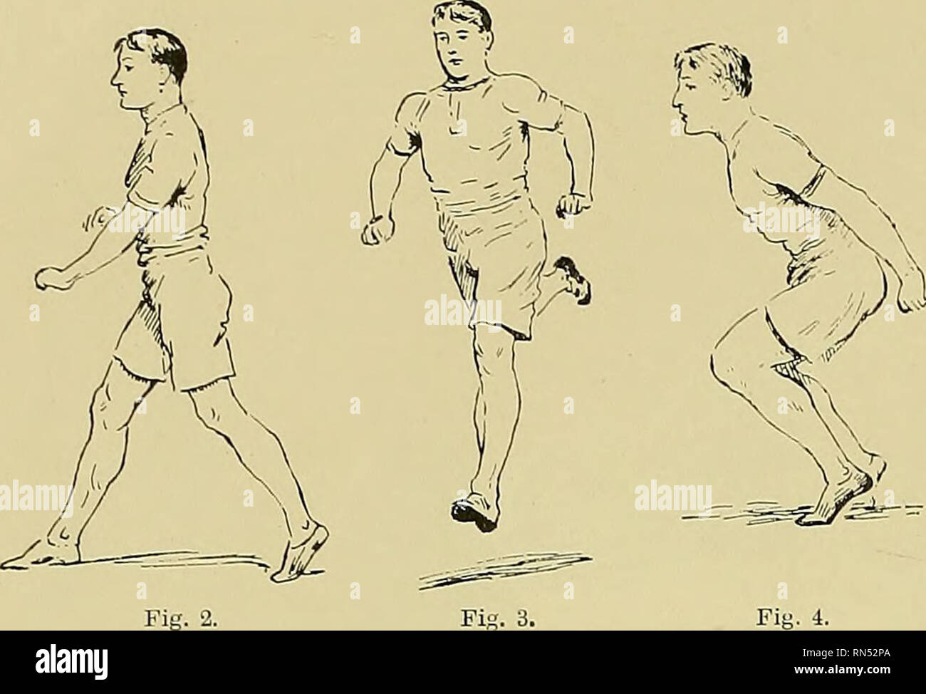 Locomotion types hi-res stock photography and images - Alamy