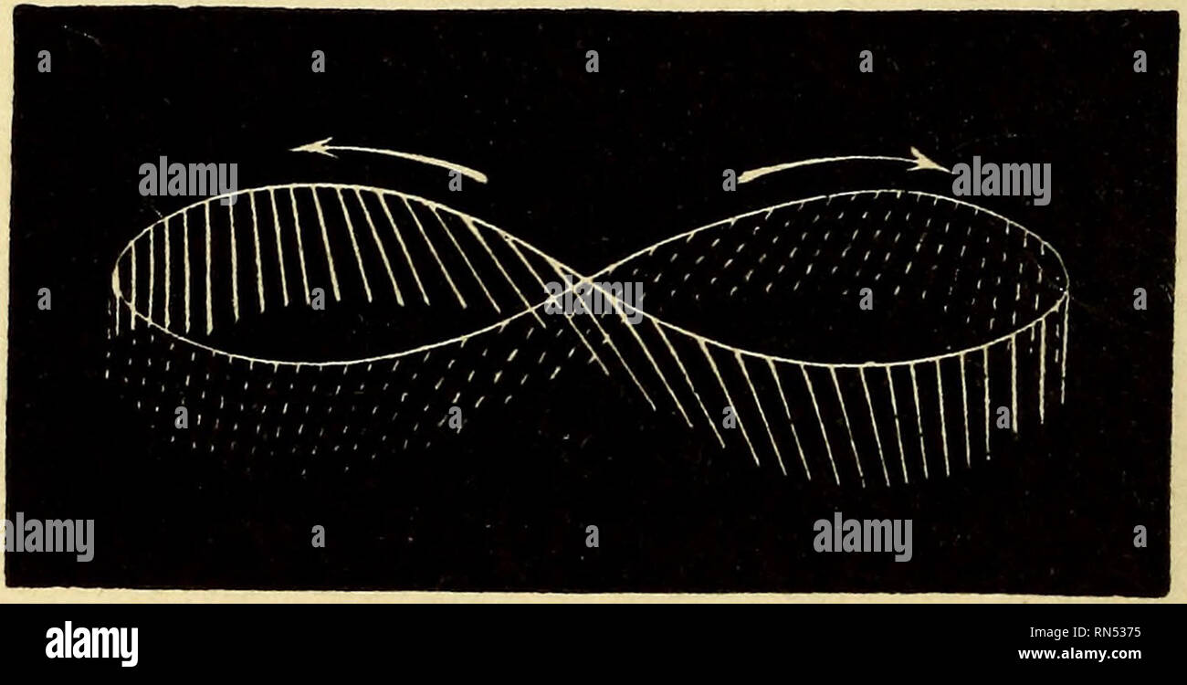 Insect wing mechanism hi-res stock photography and images - Alamy