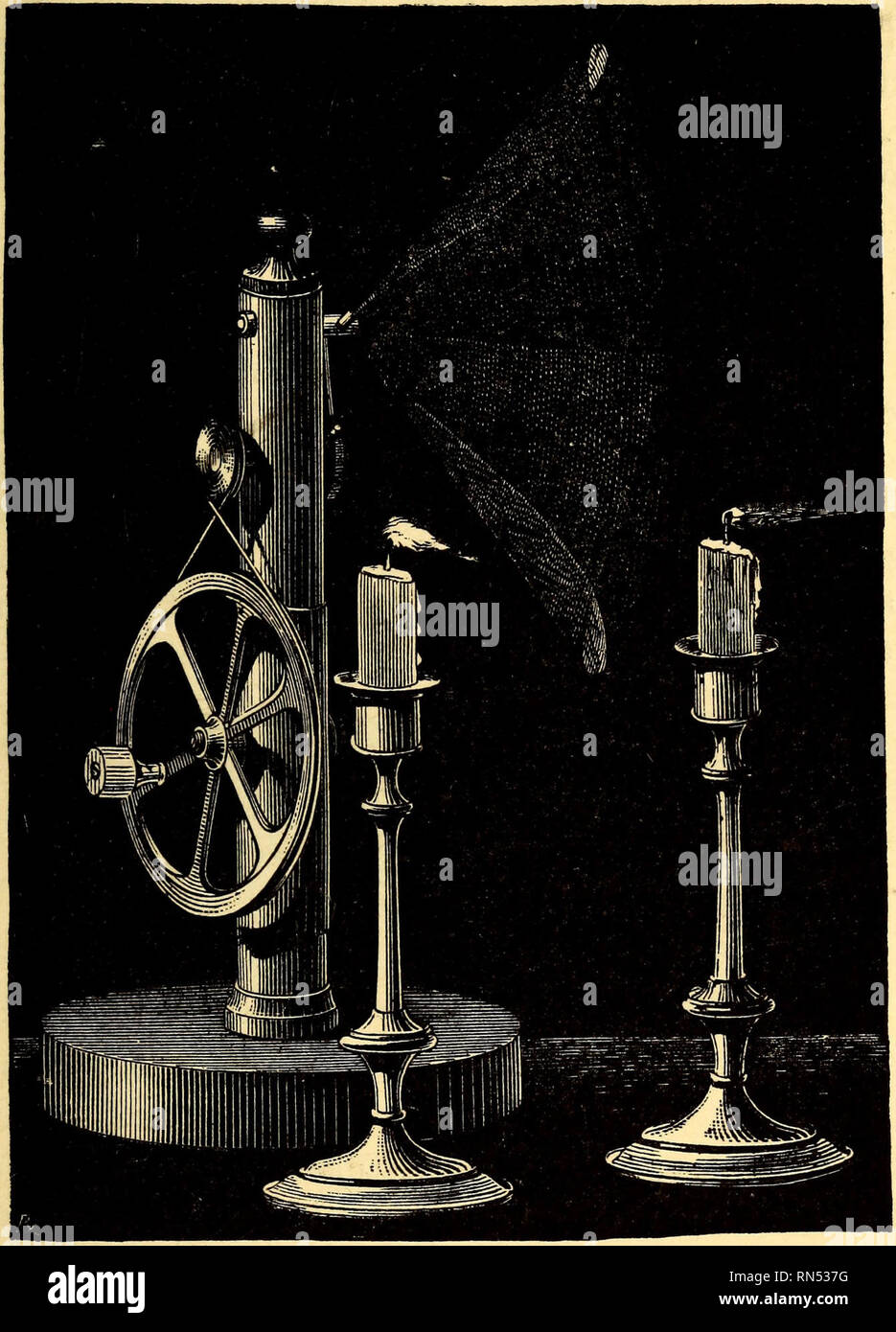 . Animal mechanism: a treatise on terrestrial and aërial locomotion ...