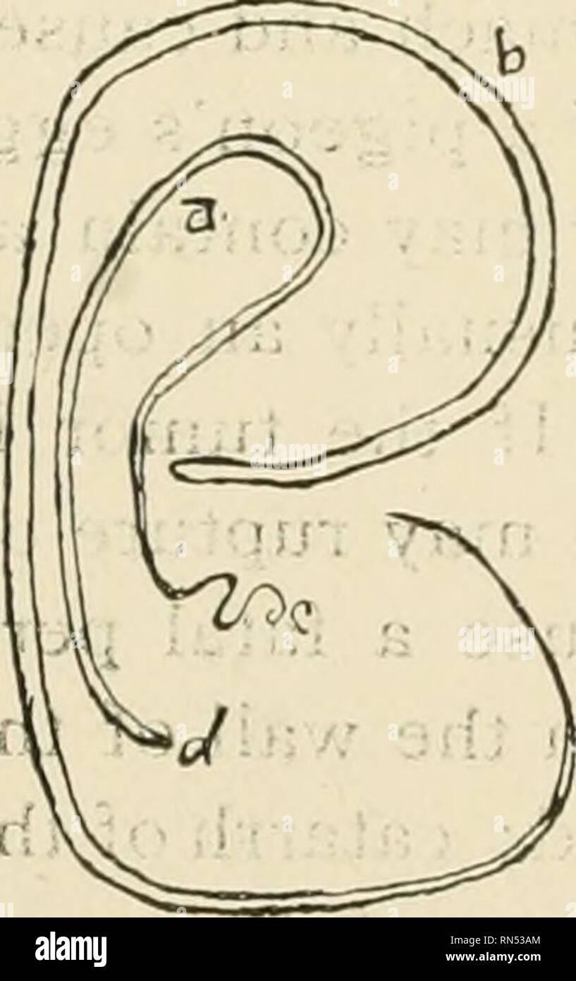 Pillae hi-res stock photography and images - Alamy