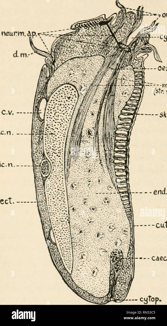 Ocs group hi-res stock photography and images - Alamy