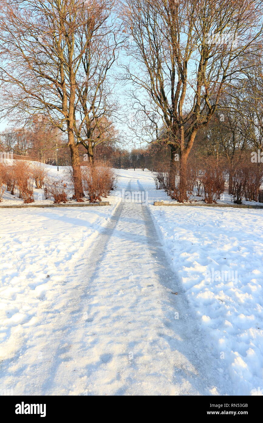 Walkway through the forest hi-res stock photography and images - Alamy