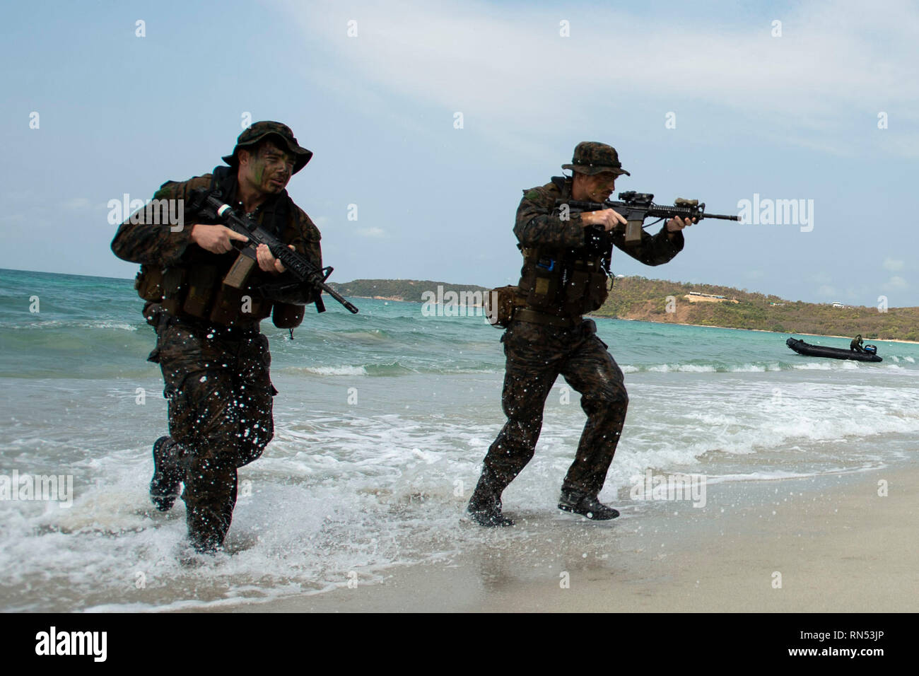 Cobra gold hi-res stock photography and images - Alamy