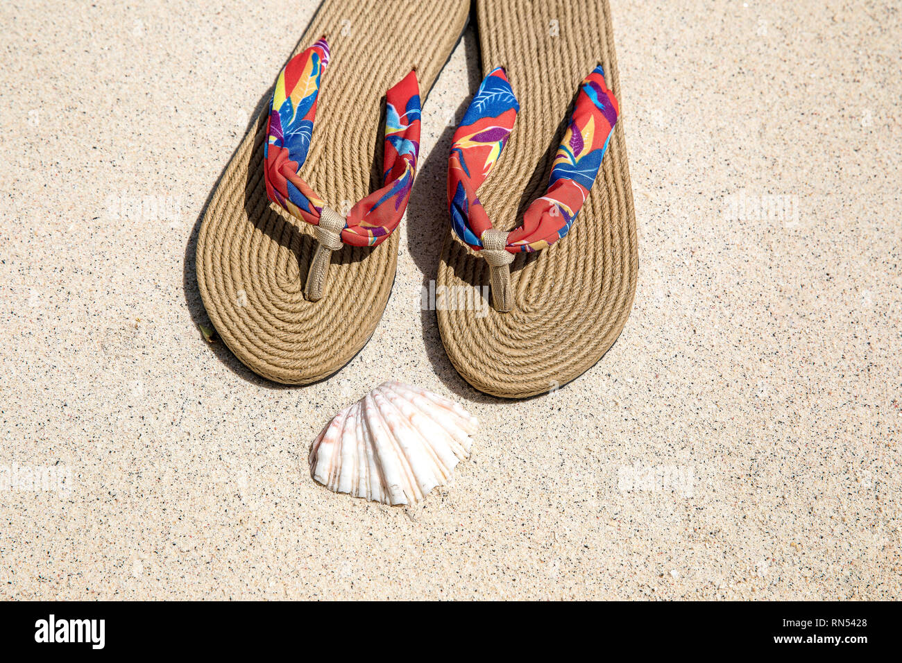 background sand background summer slippers and sea shell in Gili ...