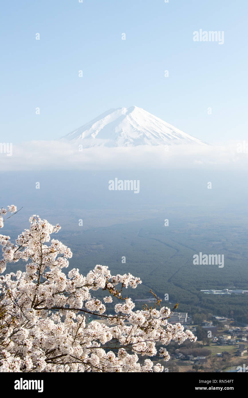 KAWAGUCHIKO, JAPAN, April 24. 2017 : Mountain Fuji with snow cap as ...