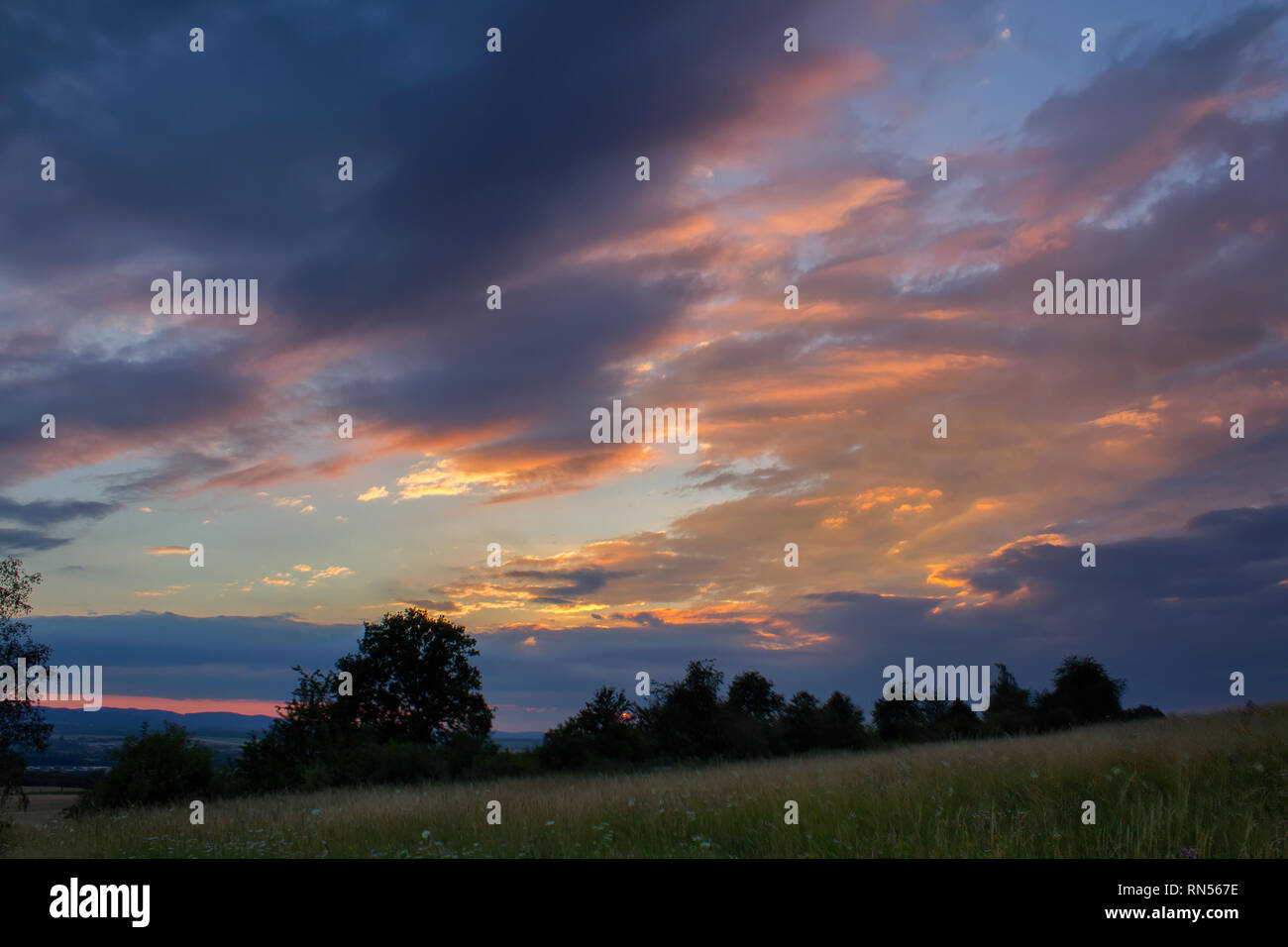 Amazing sunset with trees silhouette and meadow Stock Photo - Alamy
