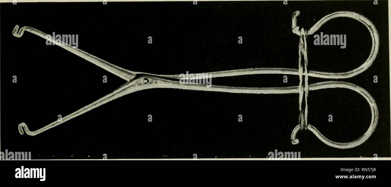 Castration Knife High Resolution Stock Photography and Images - Alamy