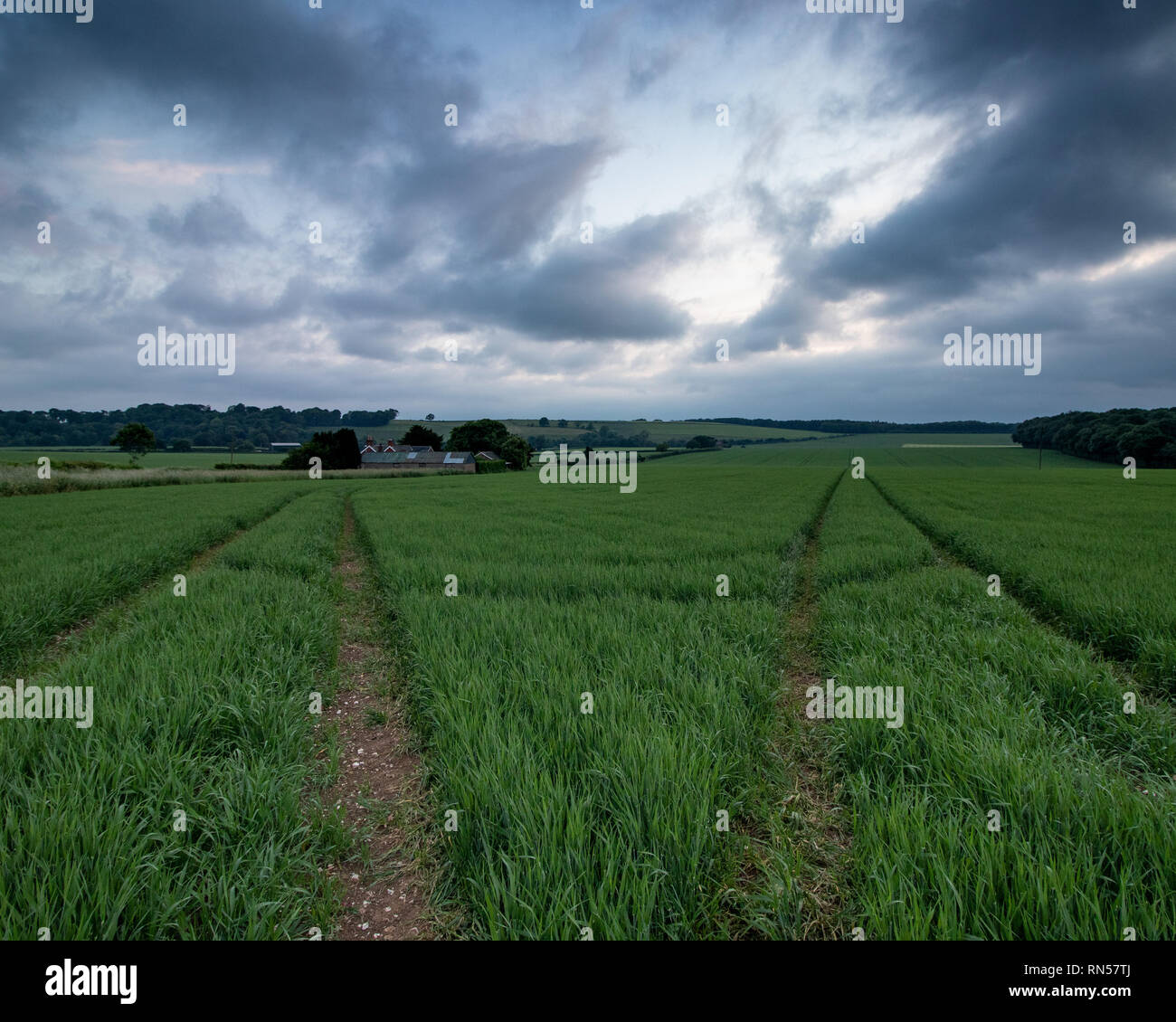 Green fields in the English countryside at sunset Stock Photo - Alamy