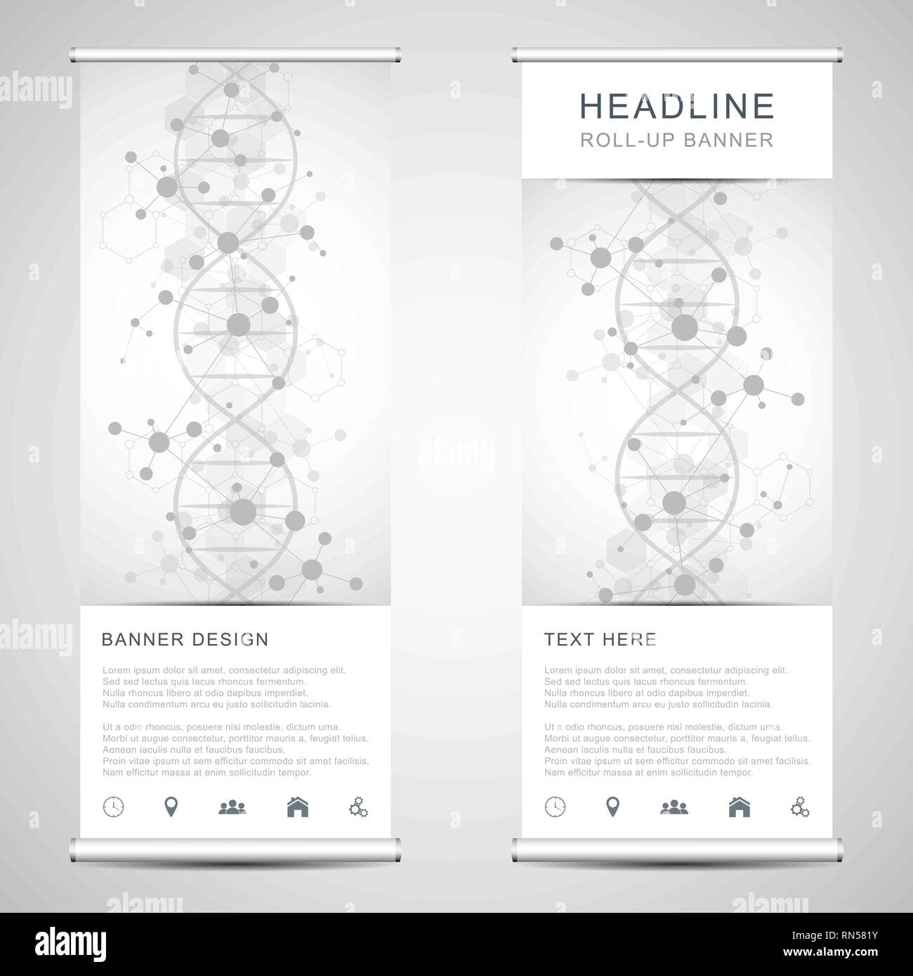 Roll up banner stands with DNA strand and molecular structure. Genetic ...