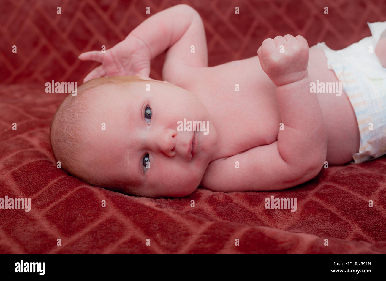 Portrait of cute caucasian newborn baby boy, age 2 weeks old Stock ...